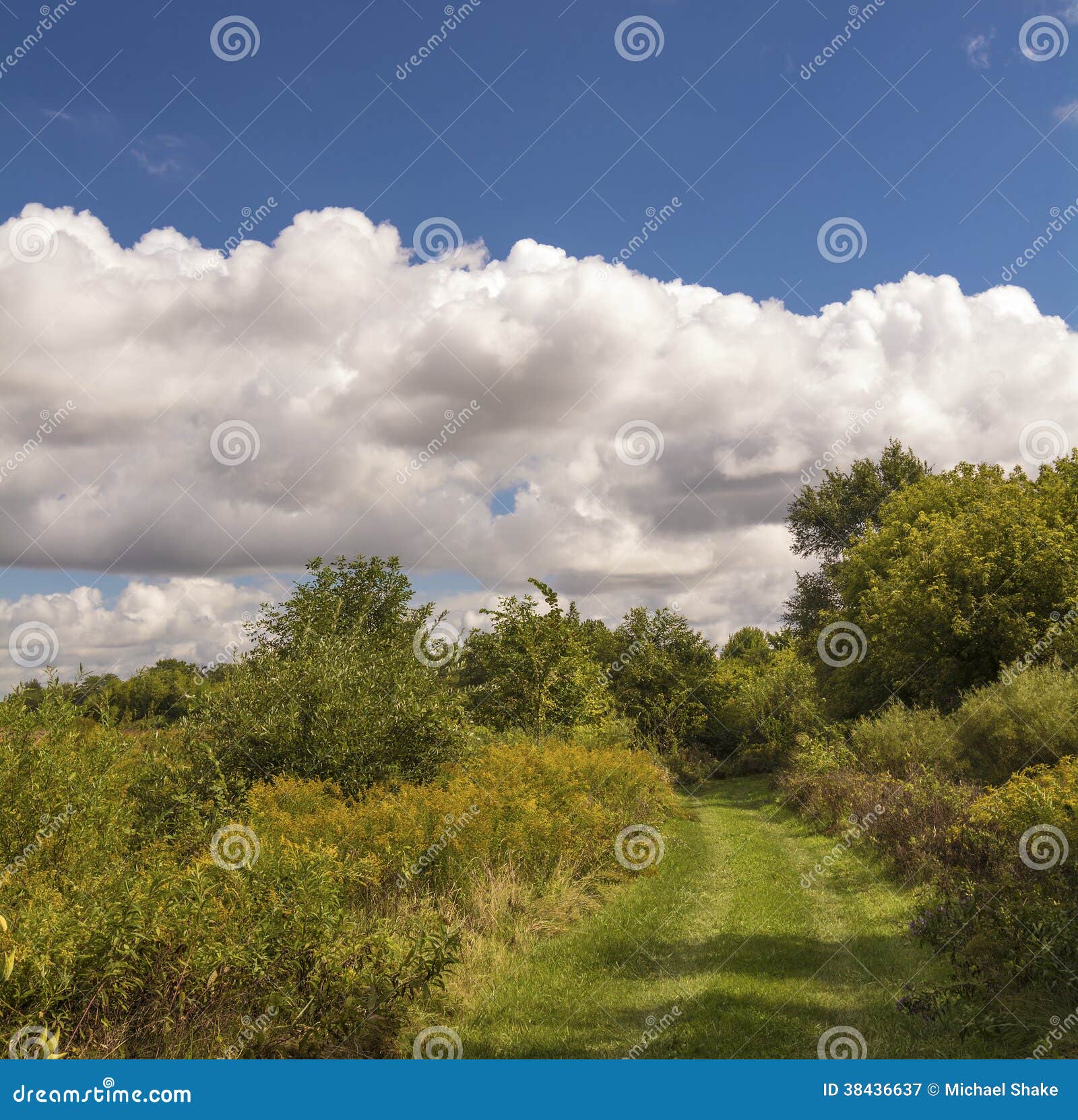 Ohio Prairie stock image. Image of autumn, trail, clouds - 38436637