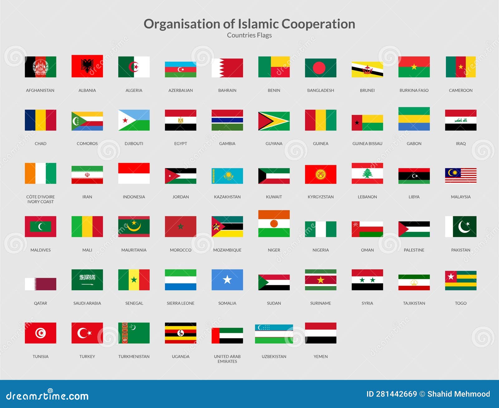 OIC Countries Rectangle Flag Icon Cartoon Vector | CartoonDealer.com ...