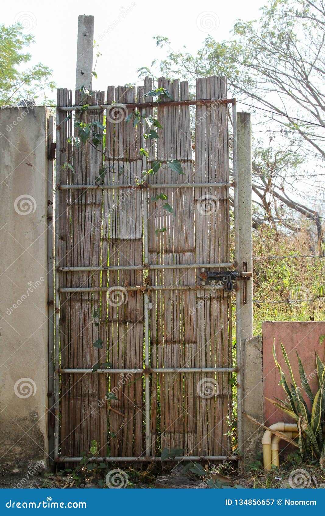 Bamboo Gate With Steel Frame Royalty-Free Stock Photo | CartoonDealer ...