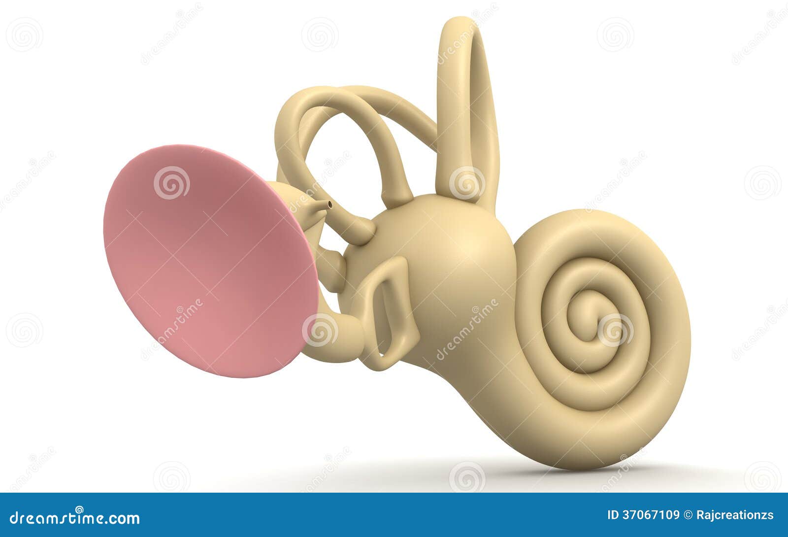 Oido interno stock de ilustración. Ilustración de equilibrio - 37067109