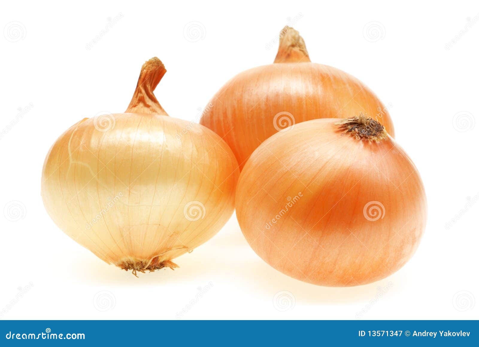 Oignon image stock. Image du fermer, durée, ingrédient - 13571347