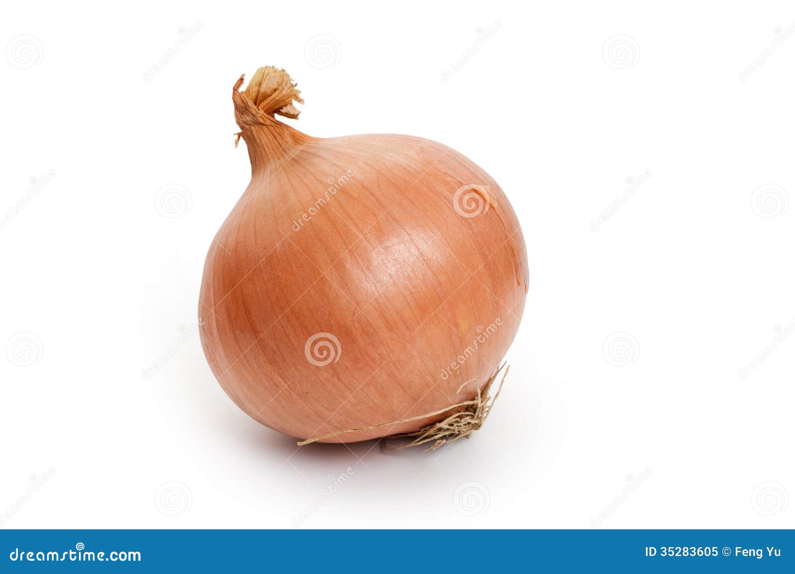 Oignon image stock. Image du oignon, fond, ingrédient - 35283605