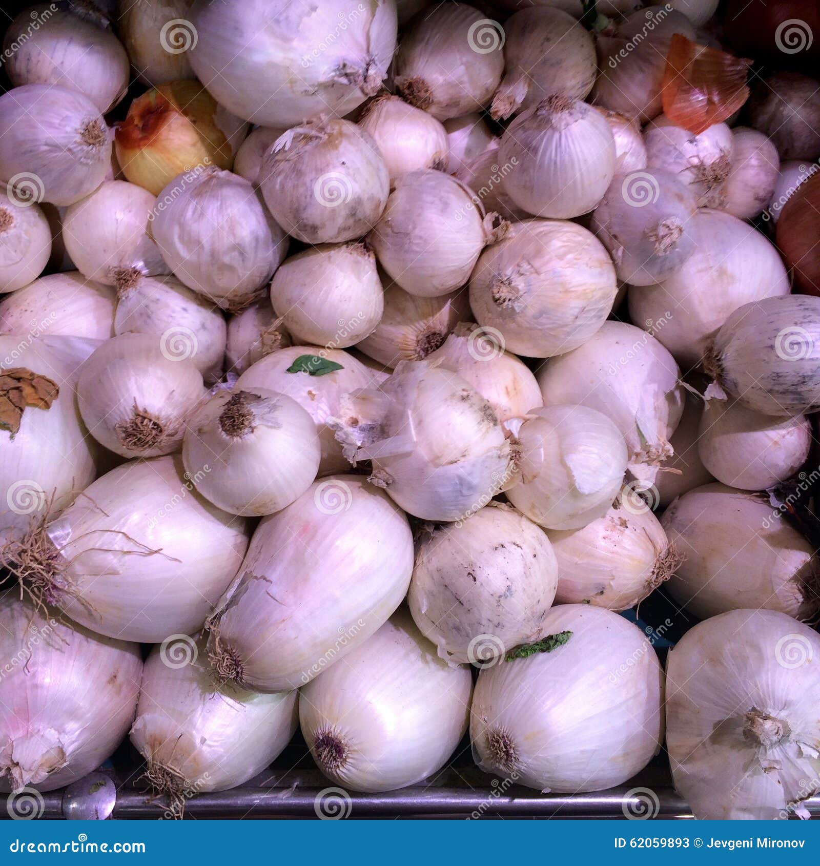 Oignon blanc image stock. Image du nourriture, régime - 62059893