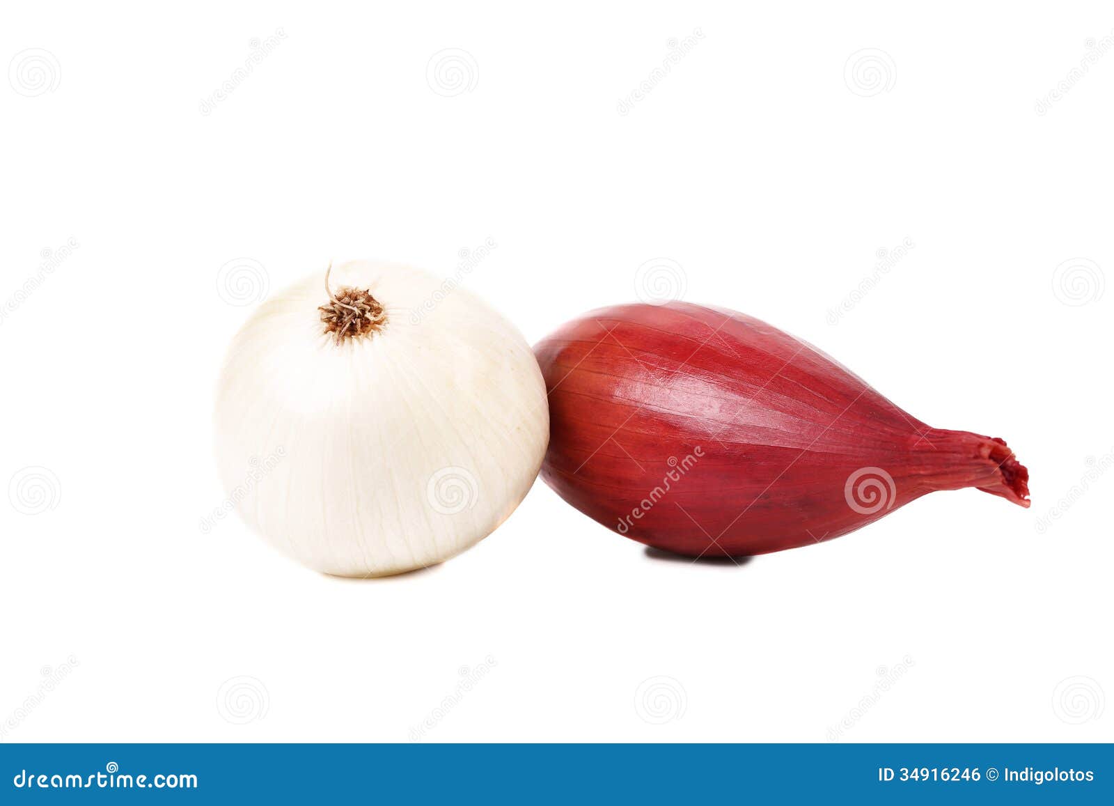 Oignon Blanc Et Oignon Rouge. Photo stock - Image du coupure, amer ...