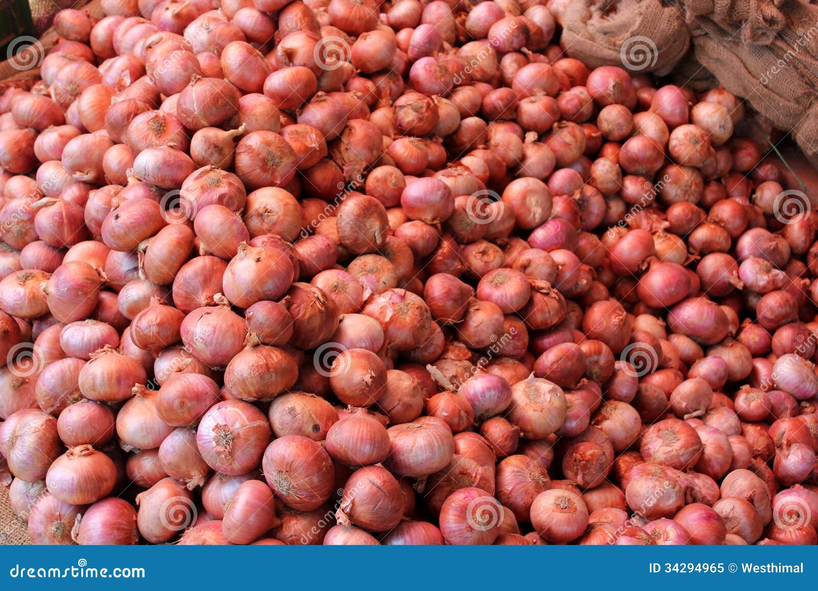 Oignon de Brown image stock. Image du salade, ampoules - 34294965