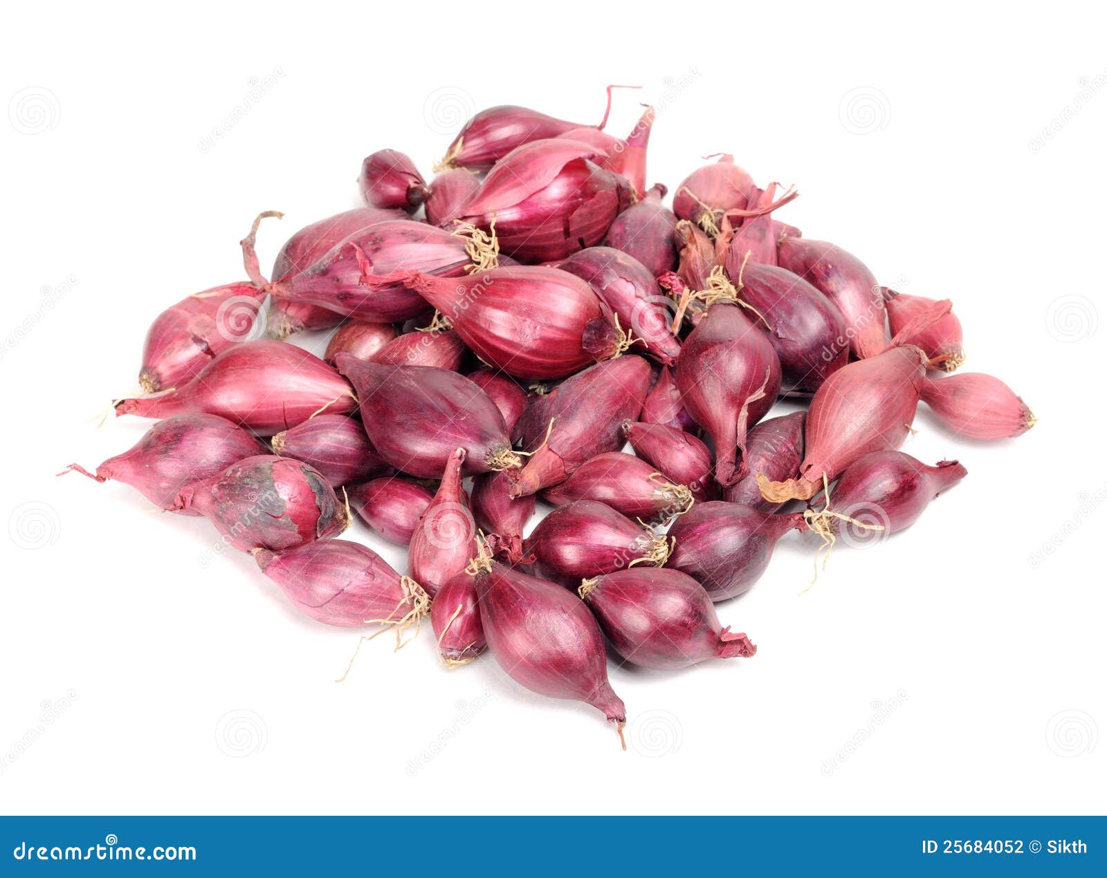 Oignon de semence rouge photo stock. Image du petit, plantation - 25684052