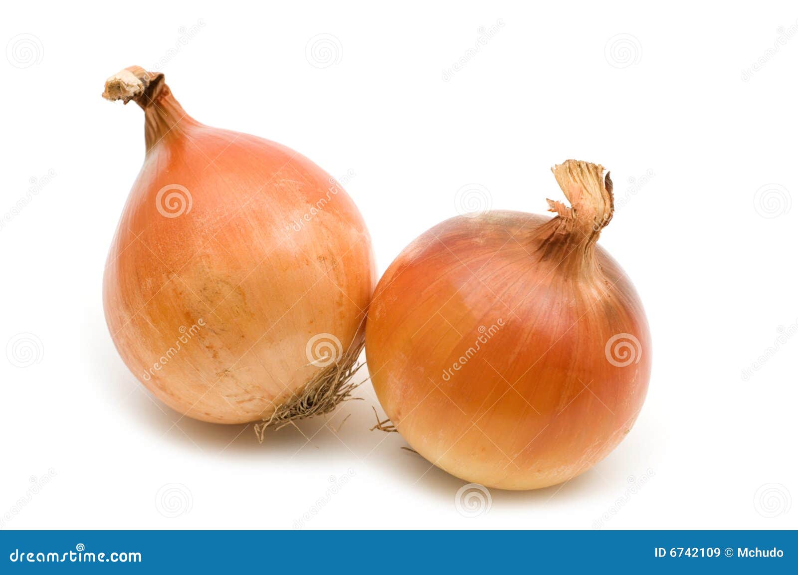 Oignon deux image stock. Image du légume, régime, dîner - 6742109