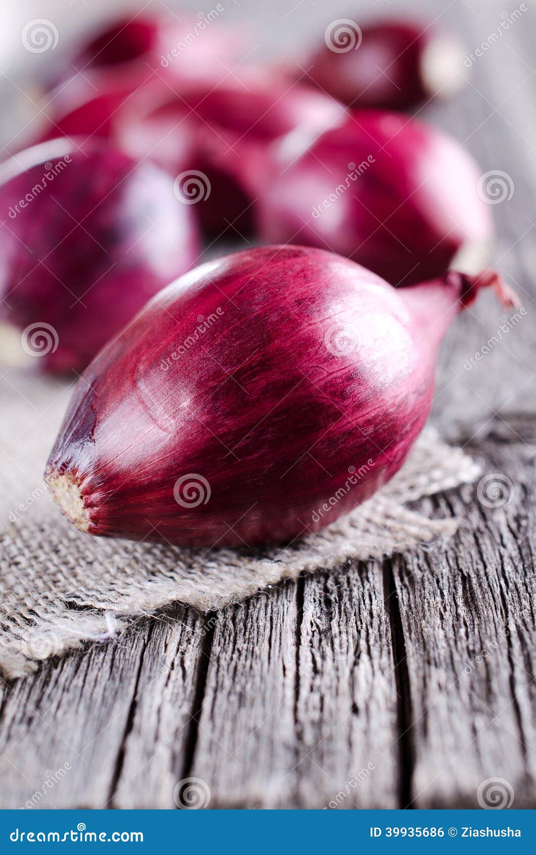 Oignon rouge photo stock. Image du gourmet, restaurants - 39935686