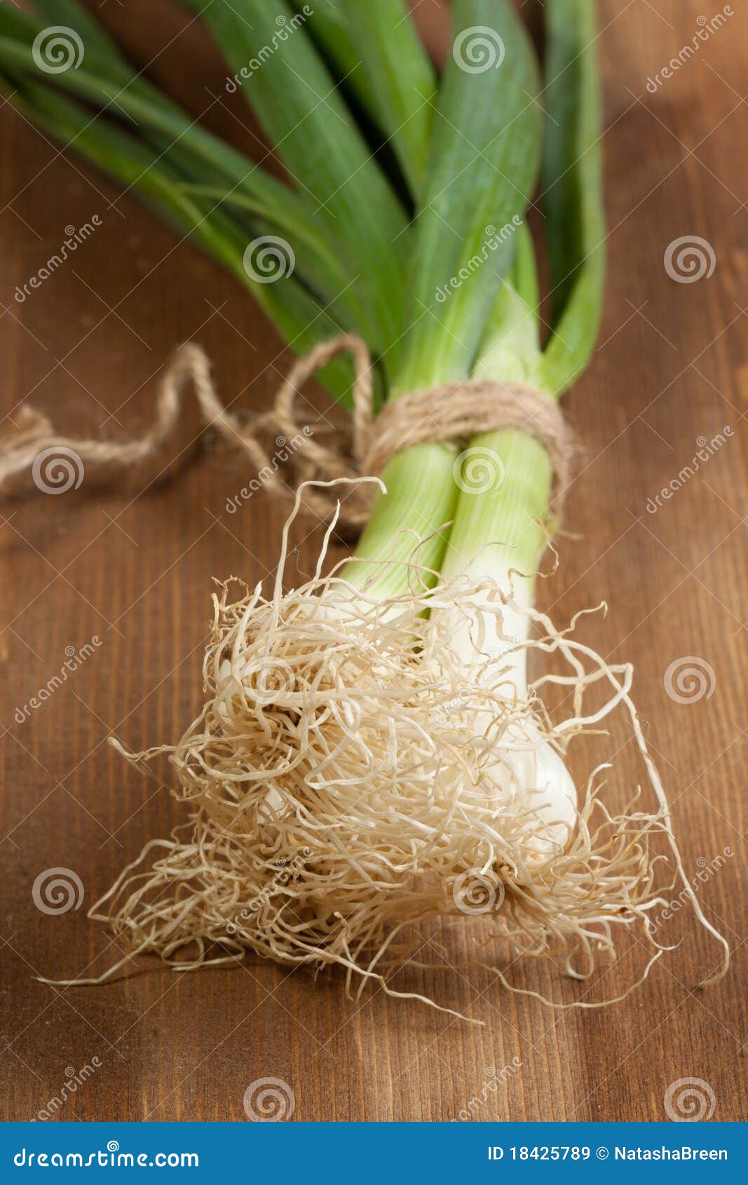 Oignon vert image stock. Image of aneth, épice, oignon - 18425789