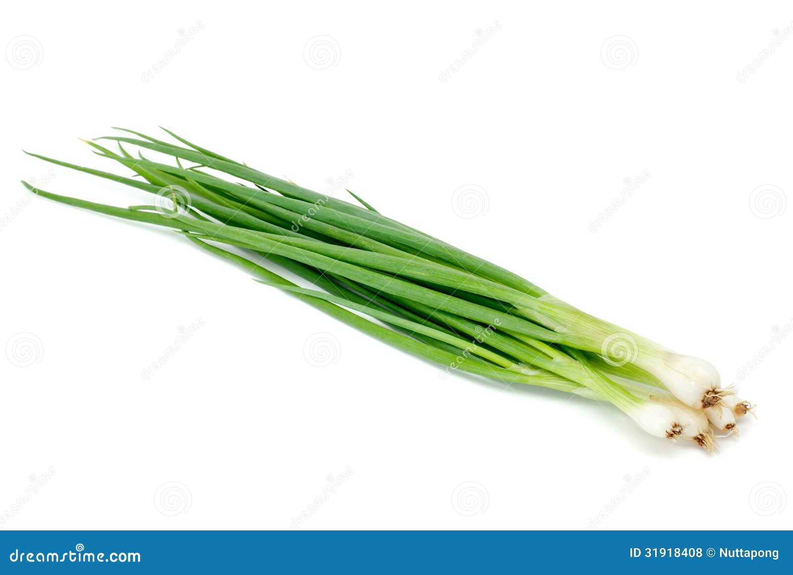 Oignon vert photo stock. Image du isolement, comestible - 31918408