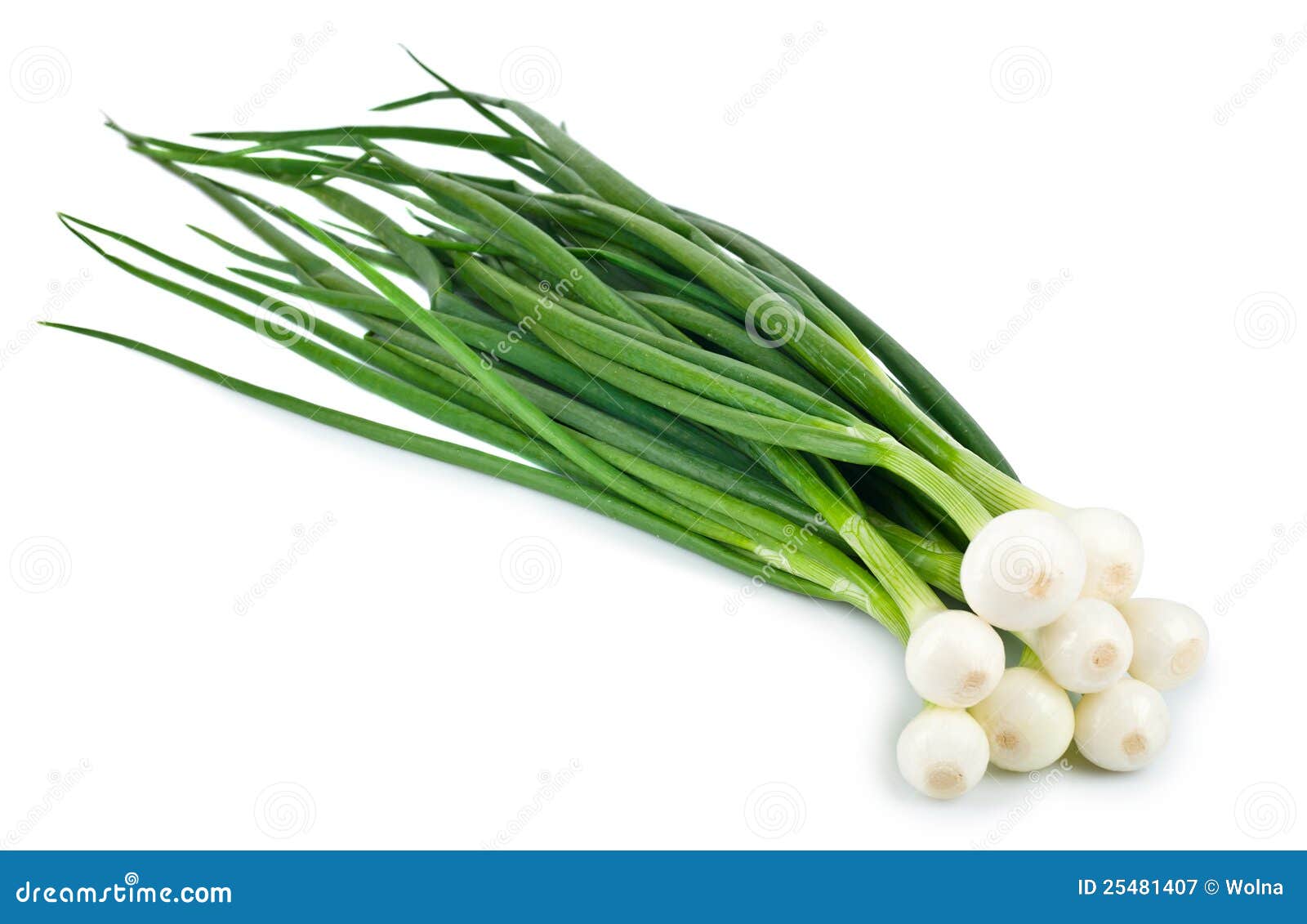 Oignon Vert Sur Le Fond Blanc Image stock - Image du blanc, vivacité ...