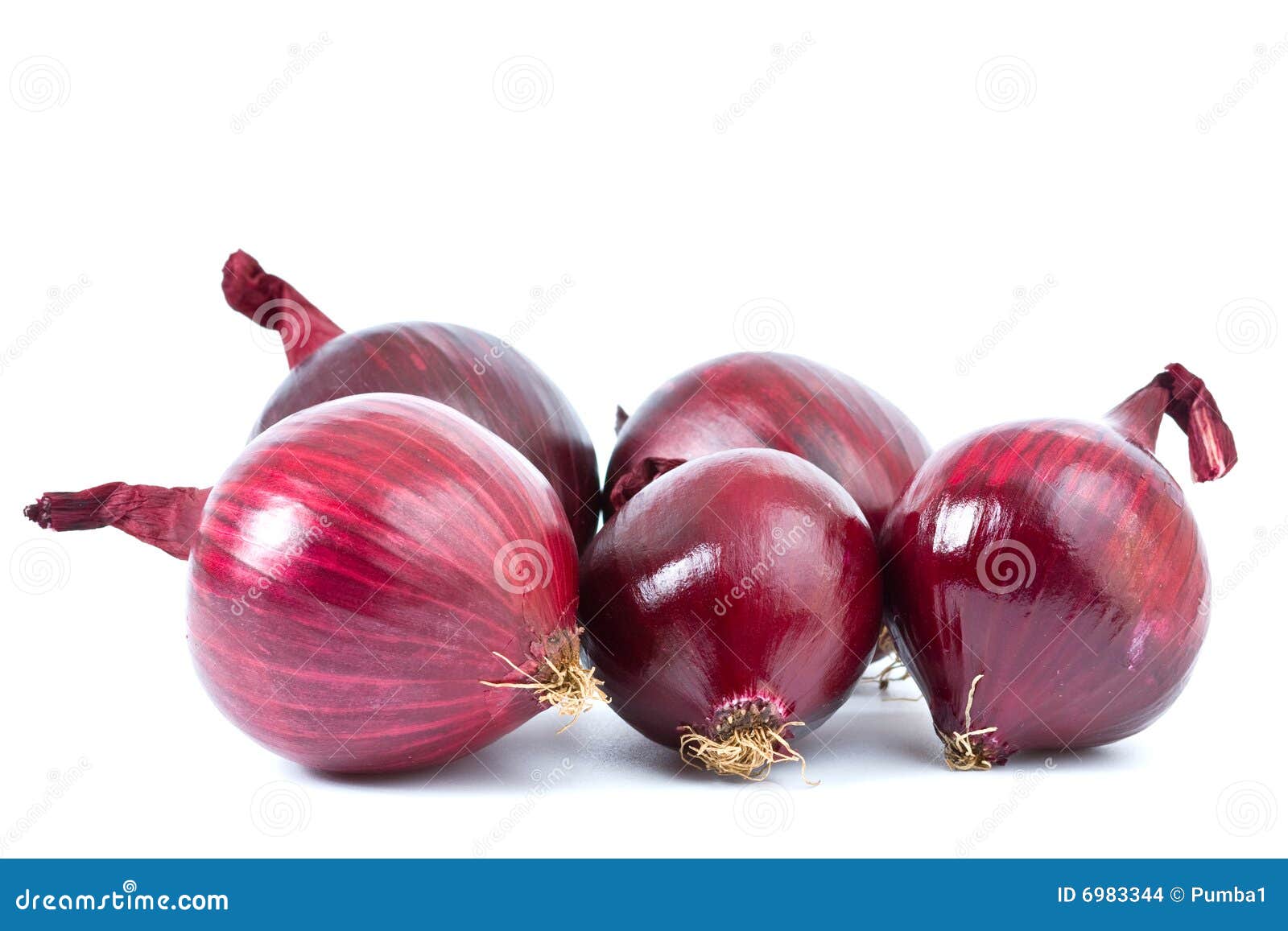 Oignon Violet Sur Un Fond Blanc Photo stock - Image du fond, ingrédient ...