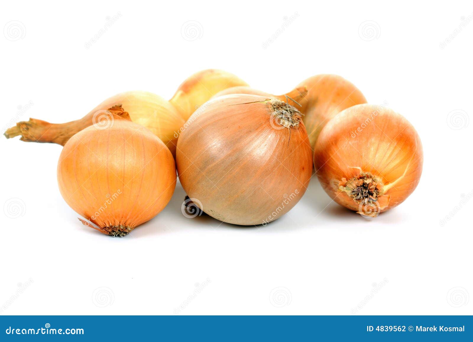 Oignons photo stock. Image du délicieux, nourriture, isolement - 4839562