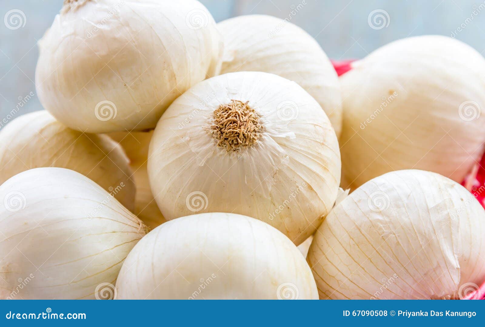 Oignons blancs photo stock. Image du organique, légume - 67090508