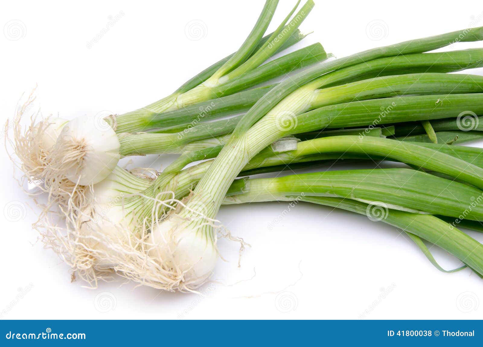 Oignons Blancs Avec Les Tiges Vertes Photo stock - Image du oignons ...