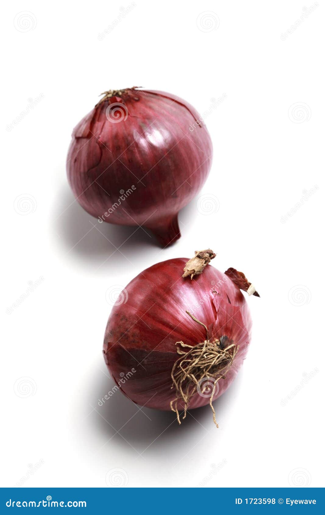 Oignons rouges photo stock. Image du épice, agriculture - 1723598