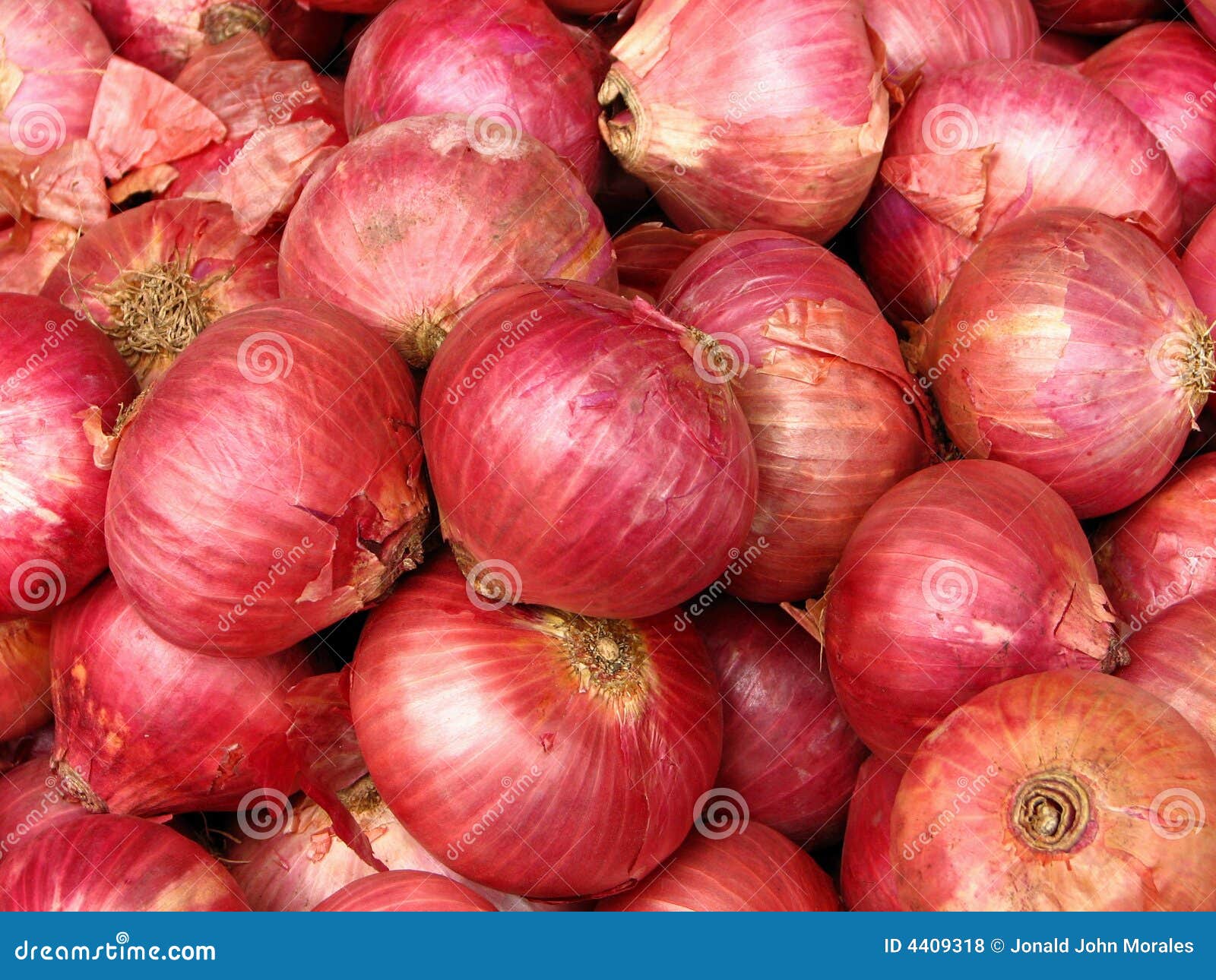 Oignons rouges photo stock. Image du manille, vitamines - 4409318