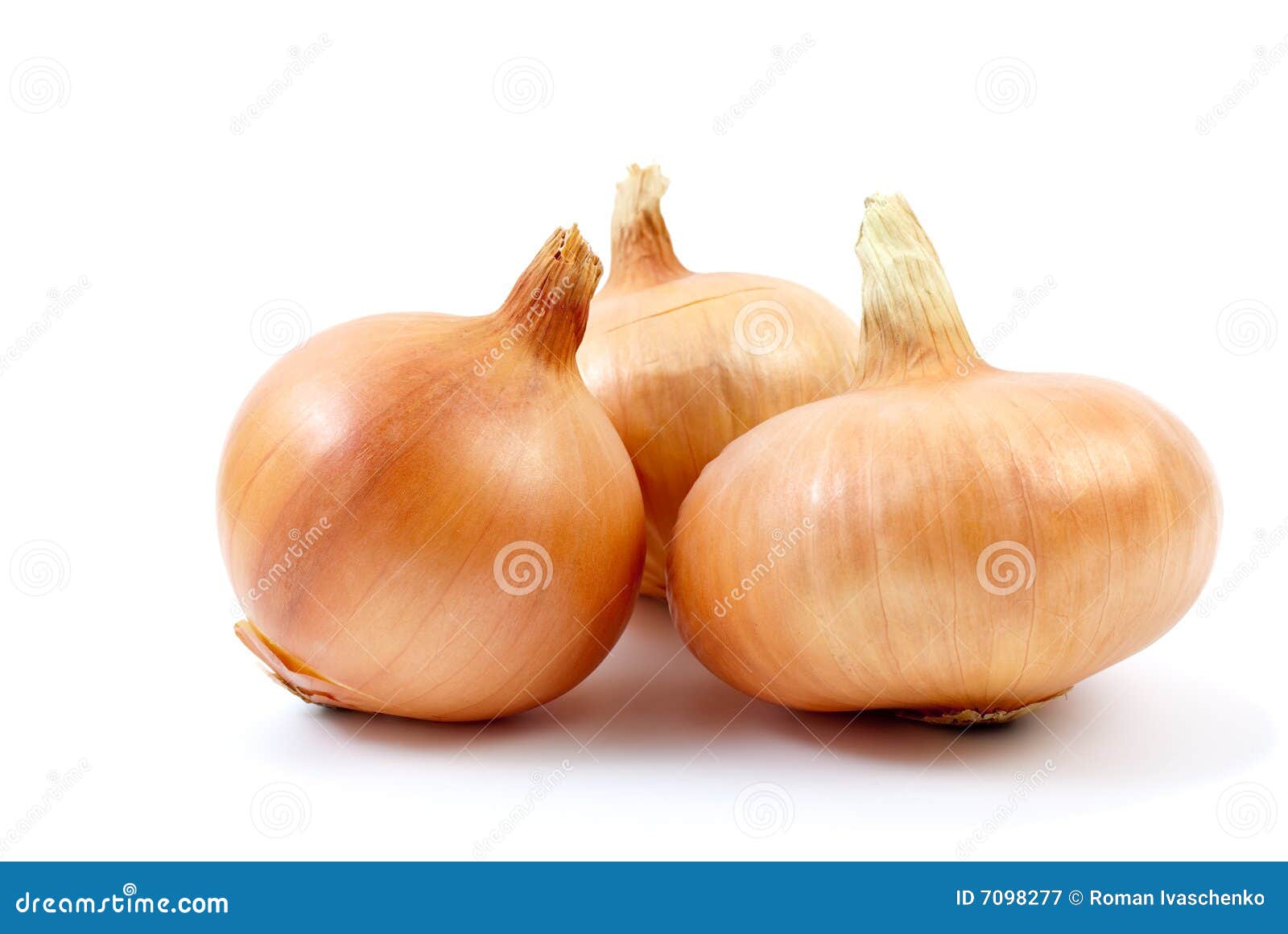 Oignons trois image stock. Image du oignon, végétarien - 7098277