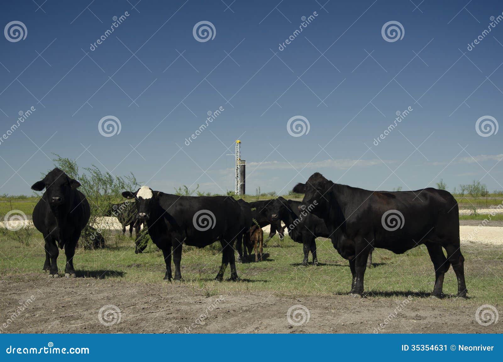 Oil and Anges stock image. Image of anges, ranching, grass - 35354631