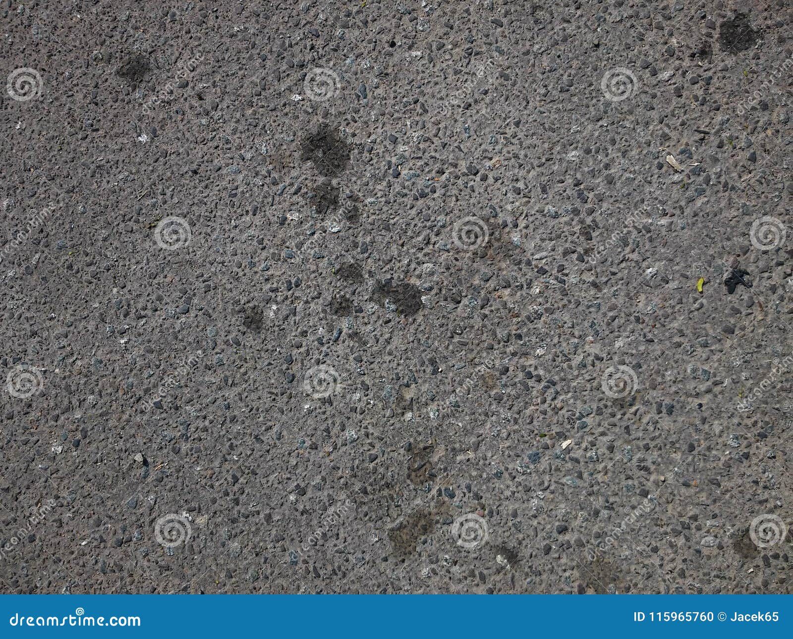 Oil on asphalt stock photo. Image of street, stains - 115965760