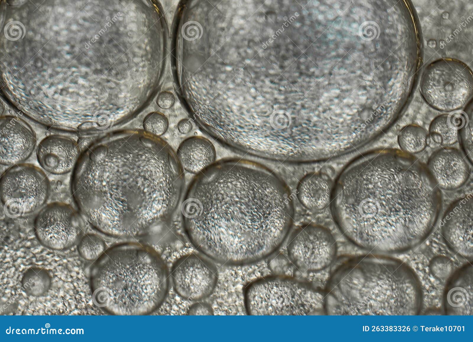 Oil Bubbles that Look Like Cells Stock Photo - Image of creative ...