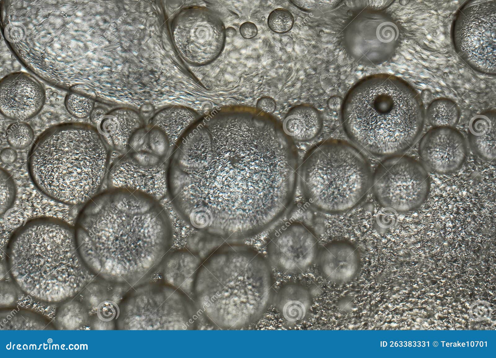 Oil Bubbles that Look Like Cells Stock Image - Image of look, pattern ...