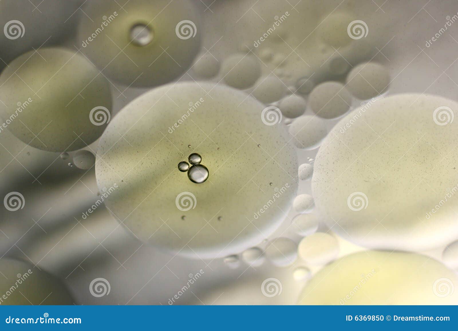 Oil cells stock photo. Image of plates, particle, cell - 6369850