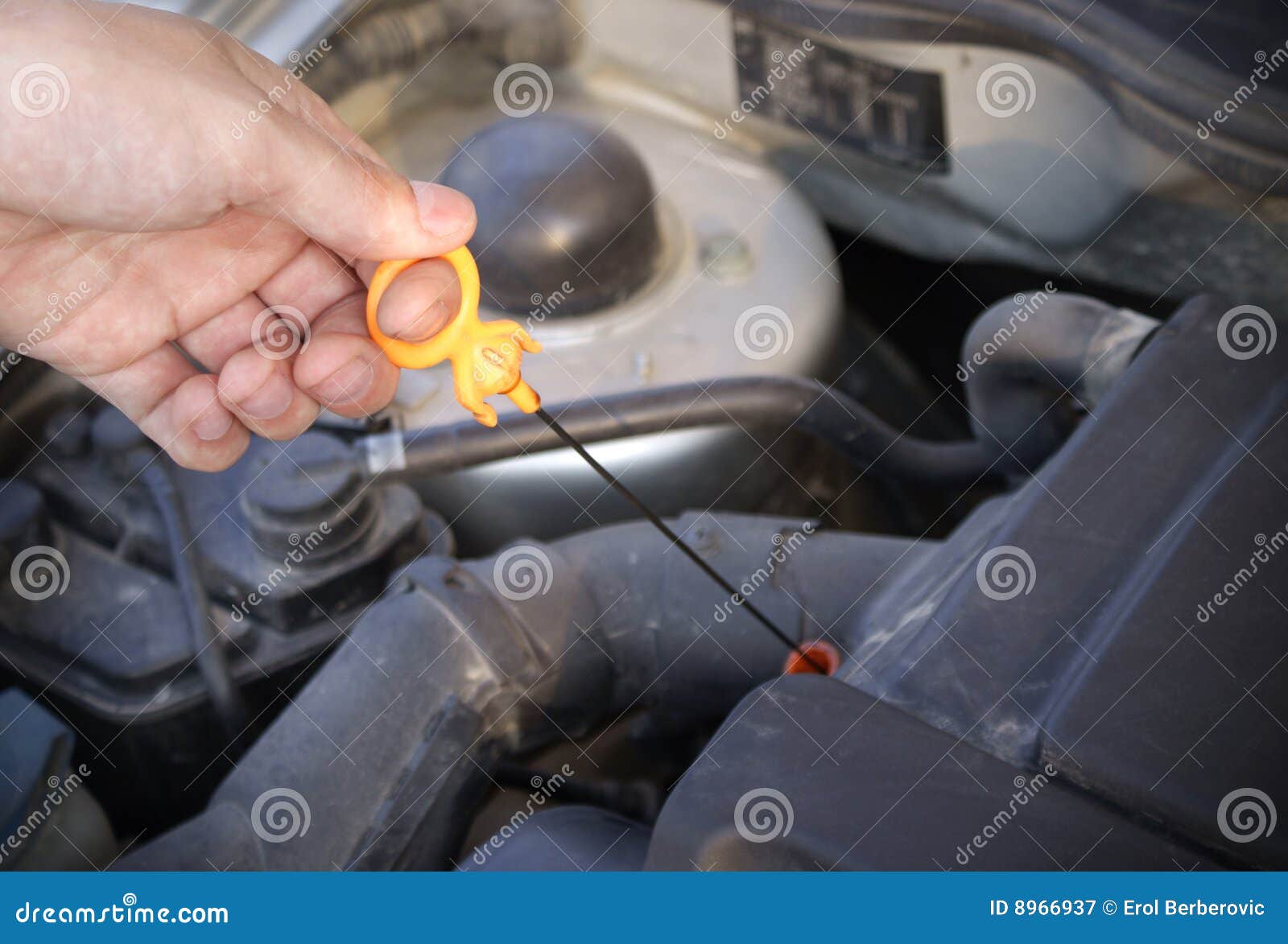 Oil check stock image. Image of transportation, repairs - 8966937