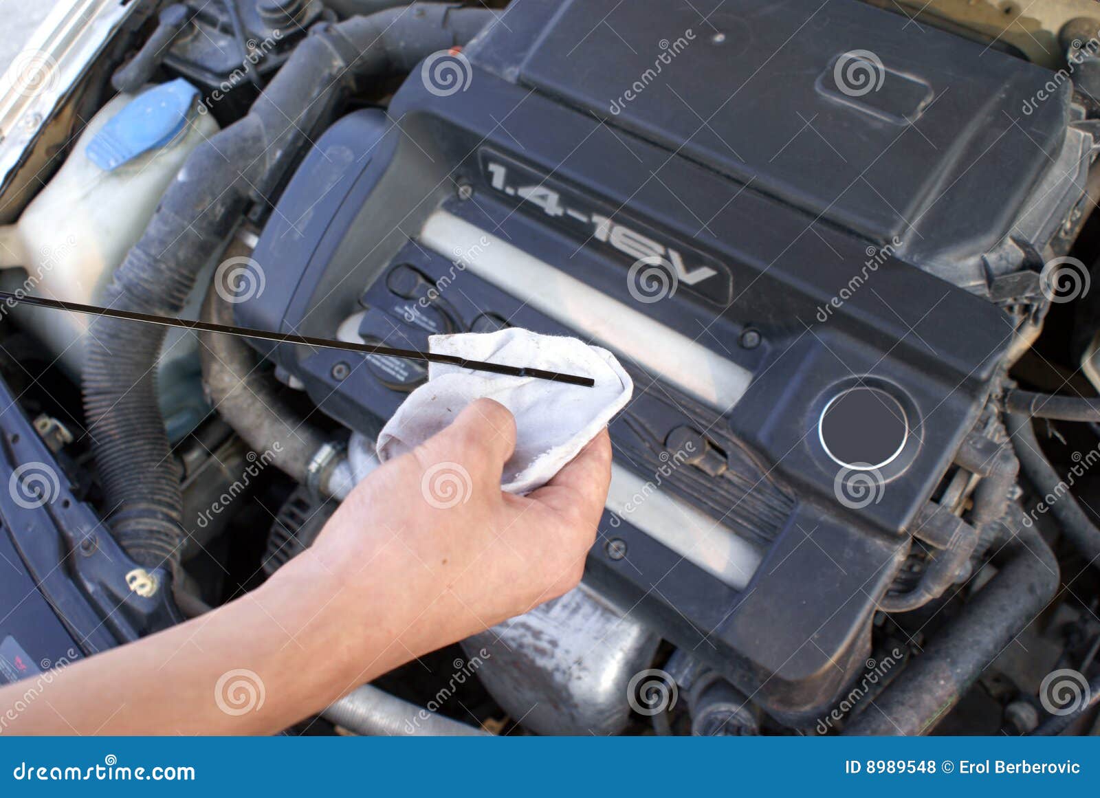 Oil check stock photo. Image of auto, maintenance, transportation - 8989548