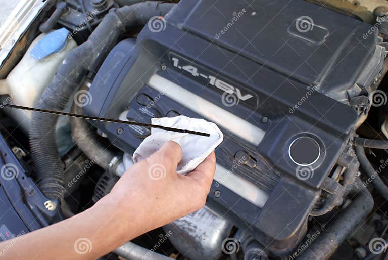 Oil check stock photo. Image of auto, maintenance, transportation - 8989548