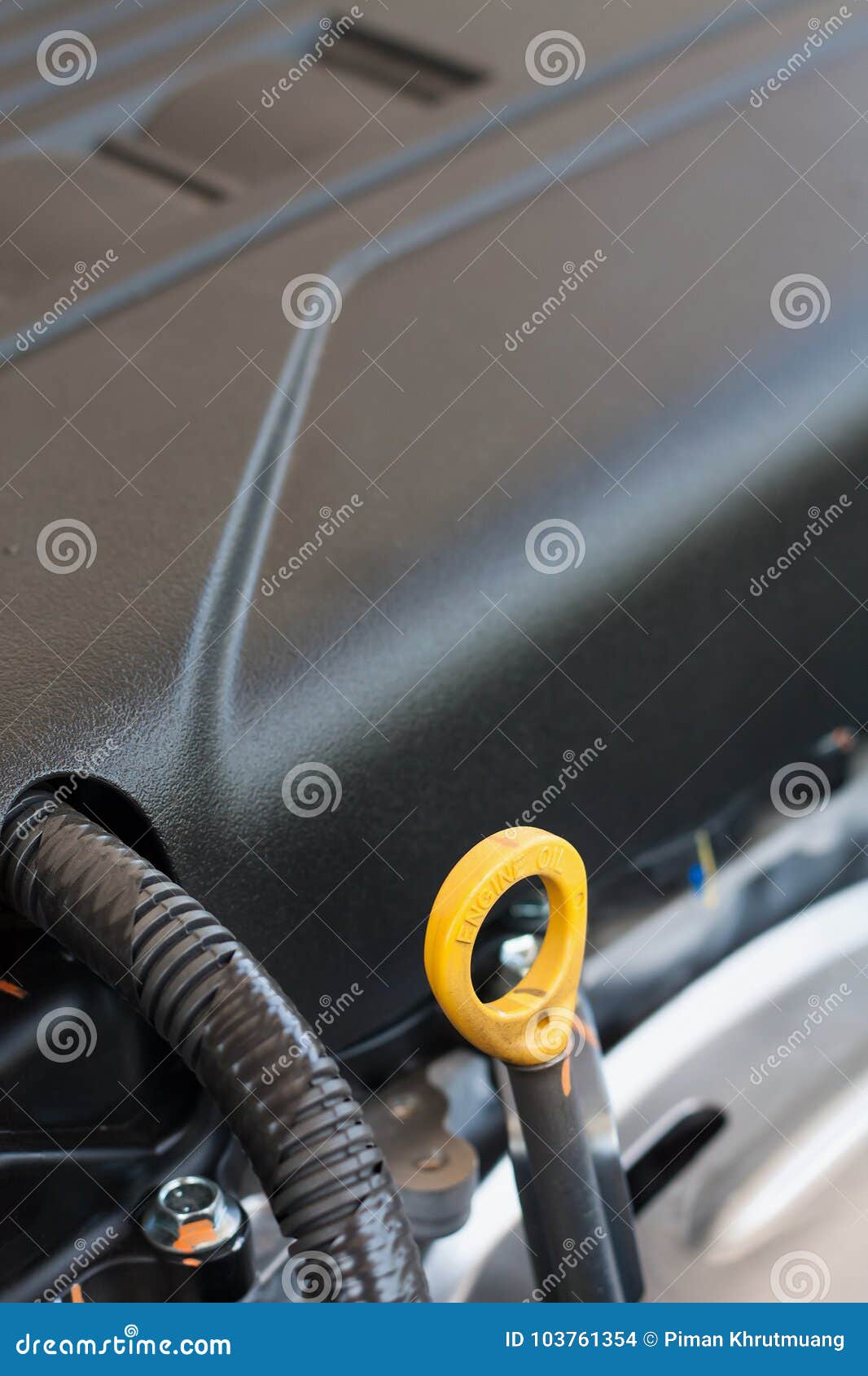 Oil dipstick of car engine stock photo. Image of level - 103761354
