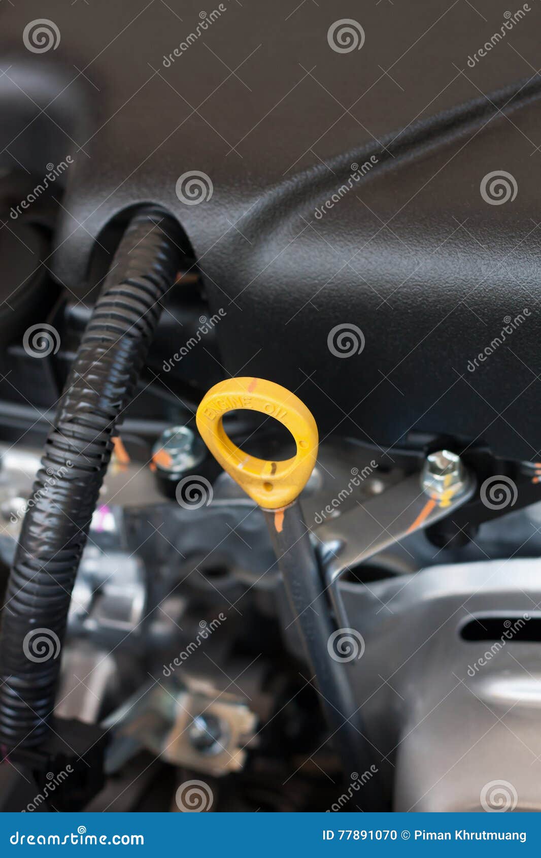 Oil dipstick of car engine stock photo. Image of checkup - 77891070