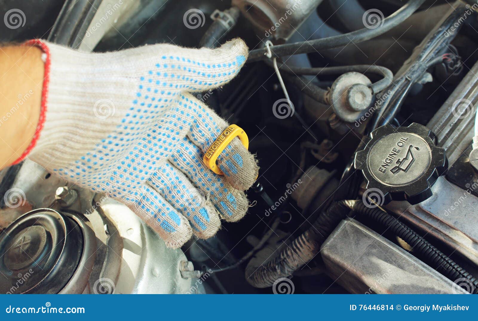 The oil dipstick stock photo. Image of control, people - 76446814