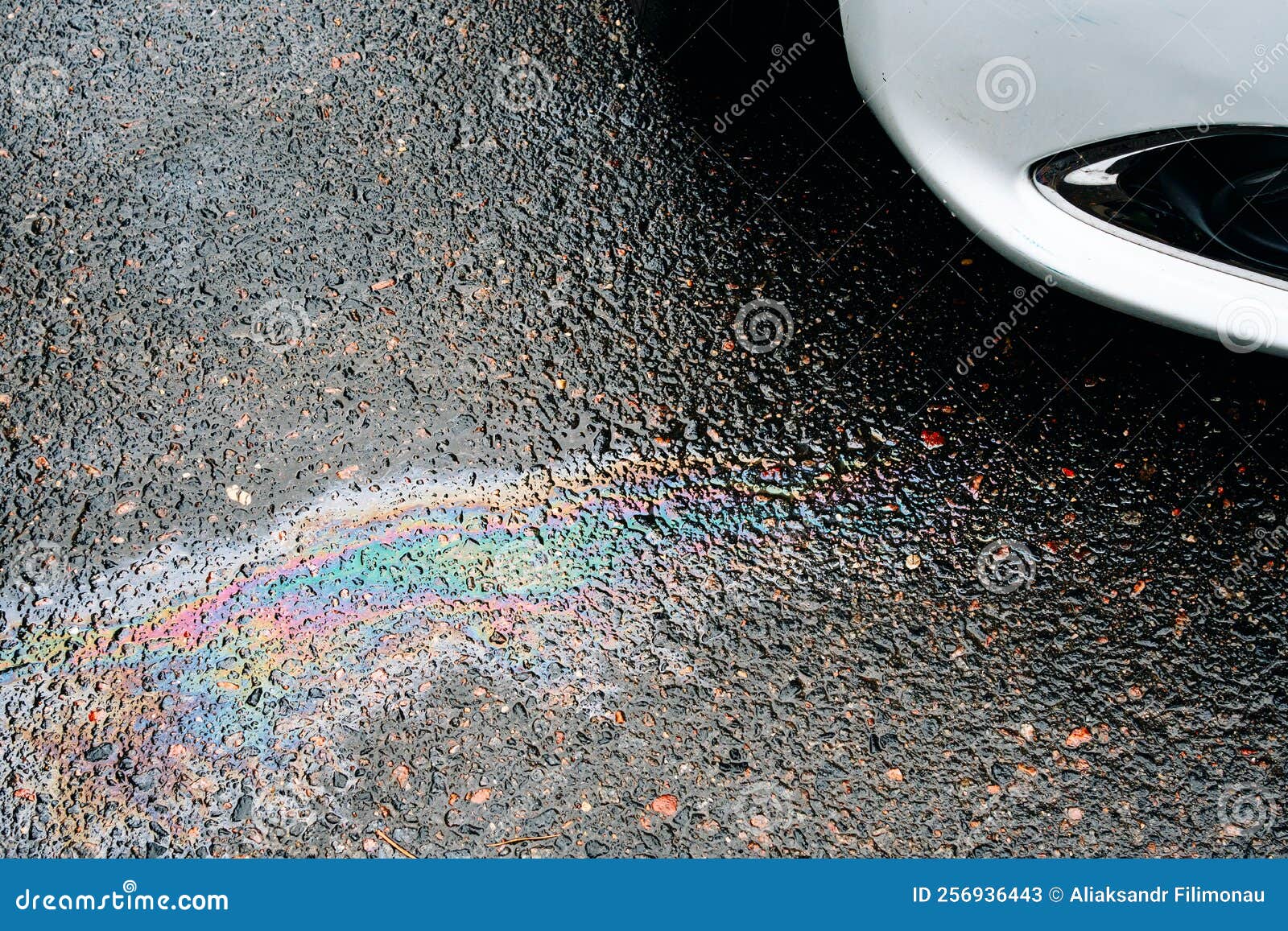 Oil Leak from the Engine on the Asphalt Stock Image - Image of motor ...