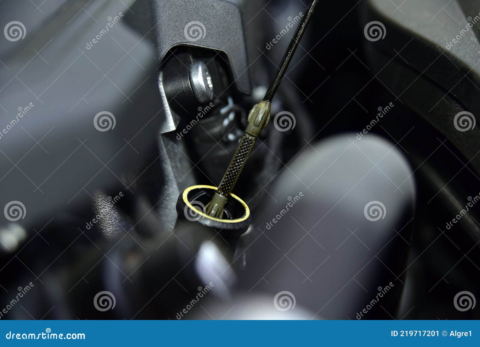 Oil Level Control Rod in a Car Engine Stock Image - Image of hand, form ...