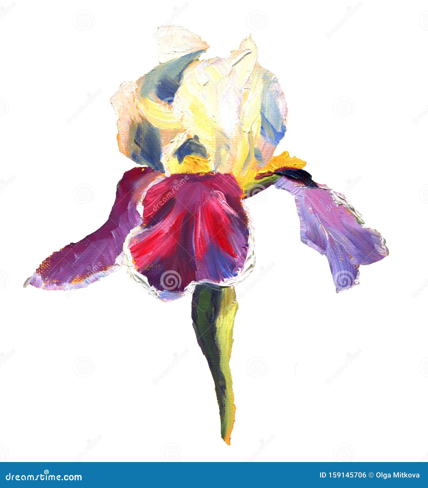 Oil Painted Iris. Element for Disign or Greeting Card Stock ...