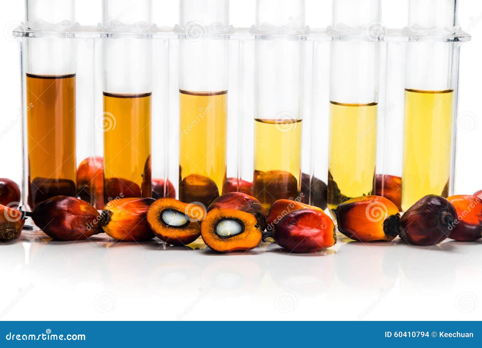 Oil Palm Biofuel Biodiesel With Test Tubes On White Background. Royalty ...