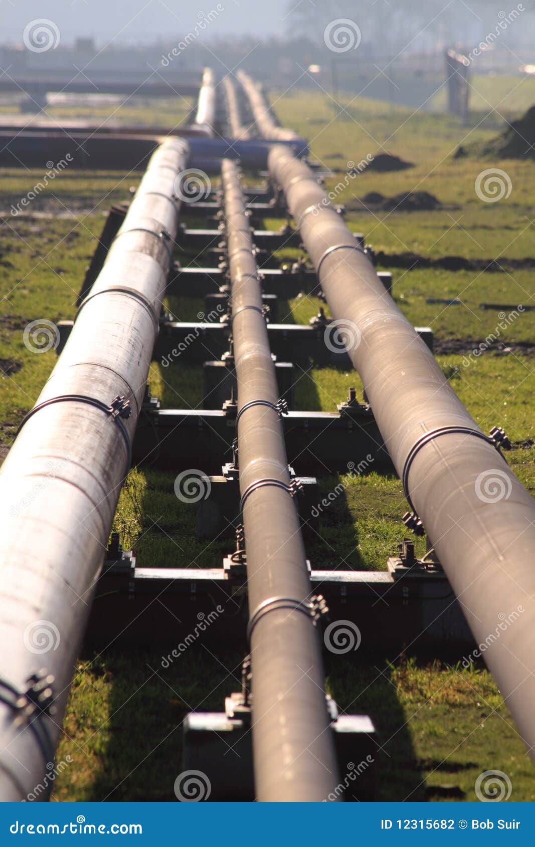 Oil pipelines stock photo. Image of pipe, iron, pipeline - 12315682