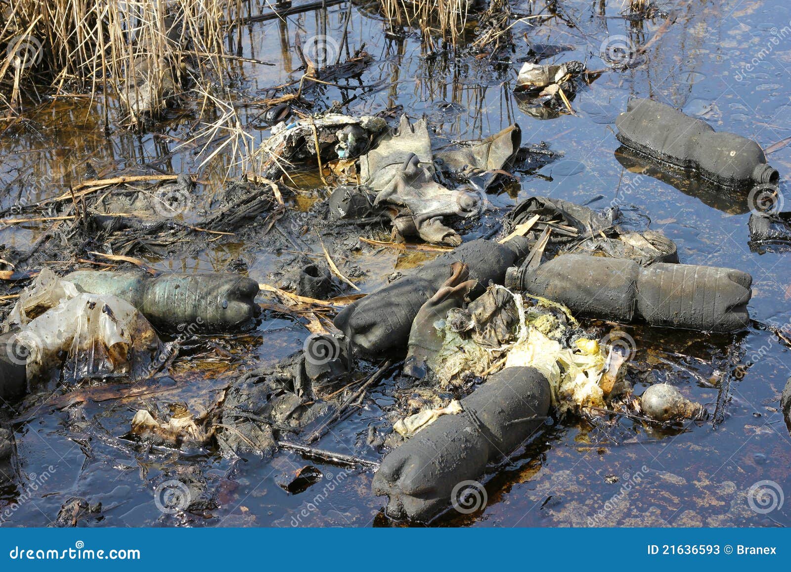 Oil pollution stock image. Image of plant, paper, junk - 21636593