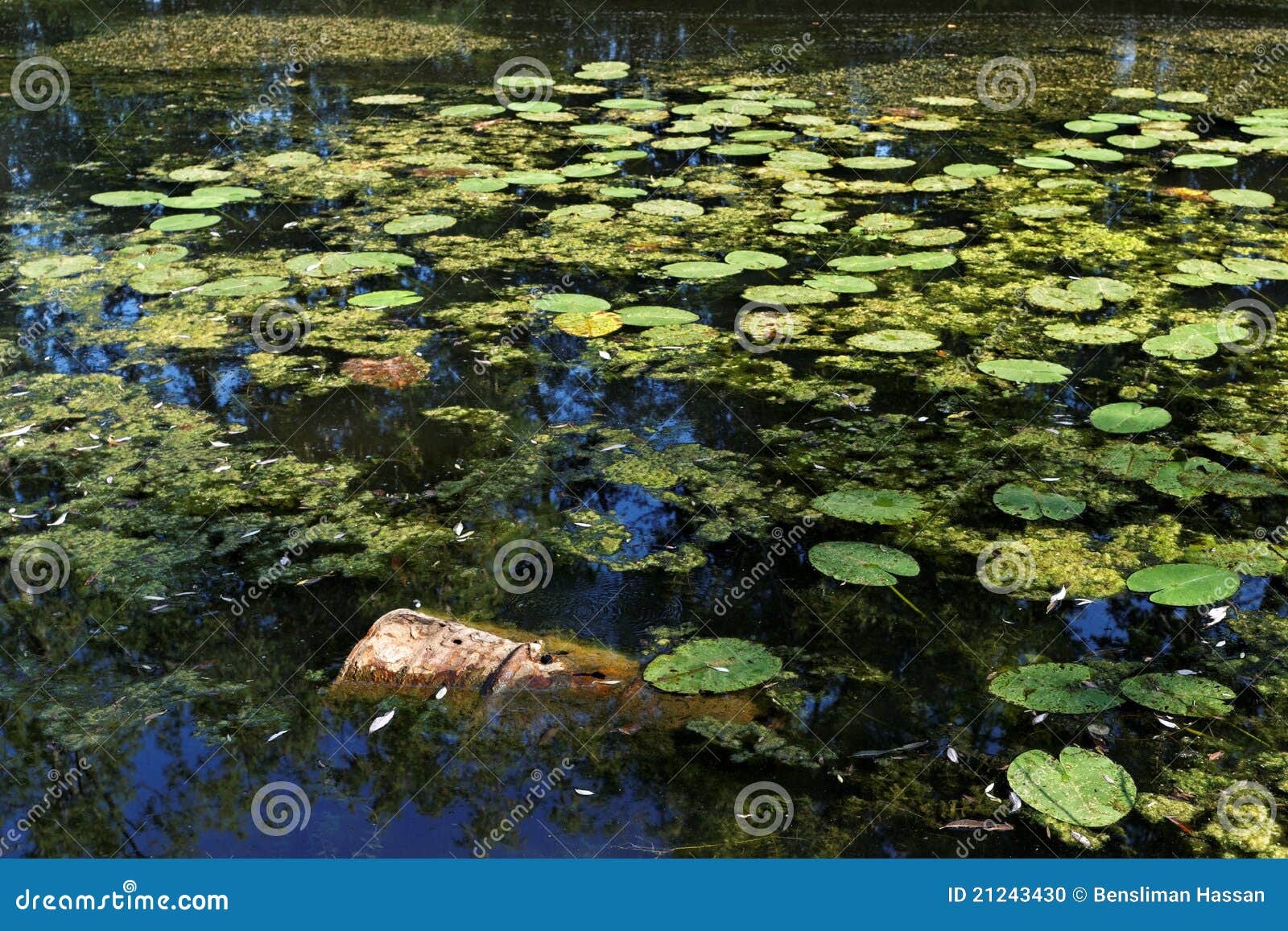 Oil Pollution on Seine River Stock Photo - Image of river, boat: 21243430