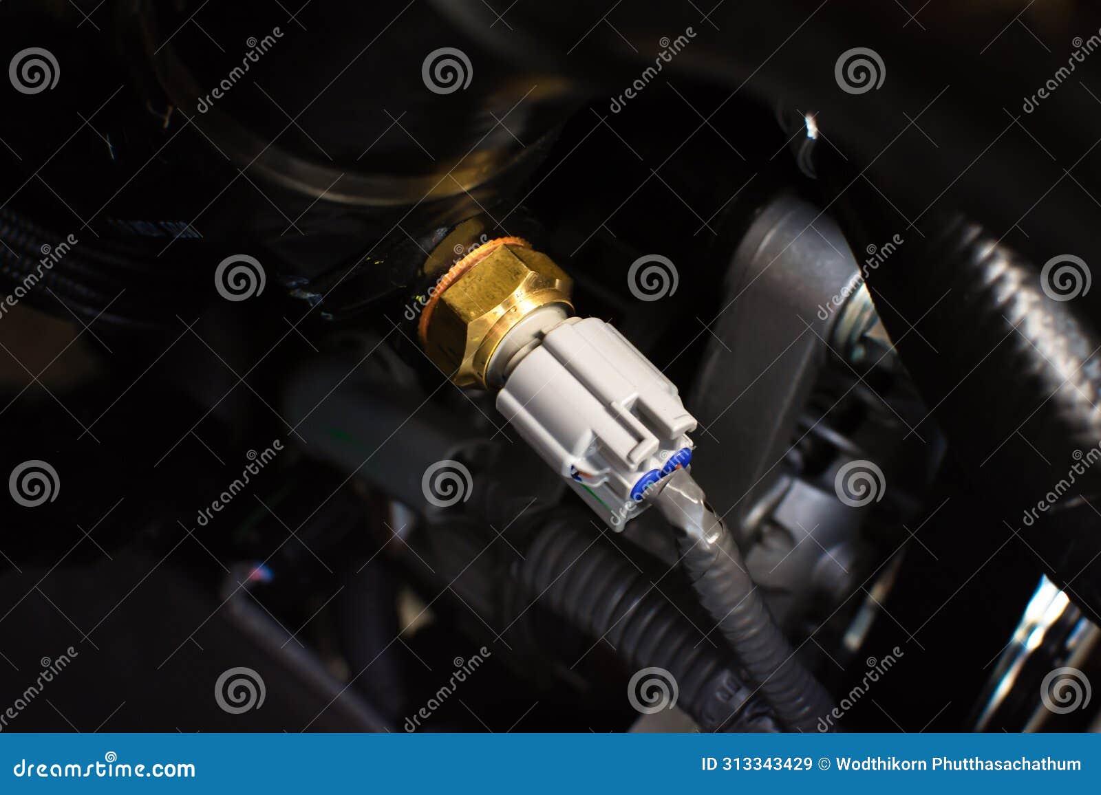 Oil Pressure Sensor or Switch of Car Engine Stock Image - Image of ...