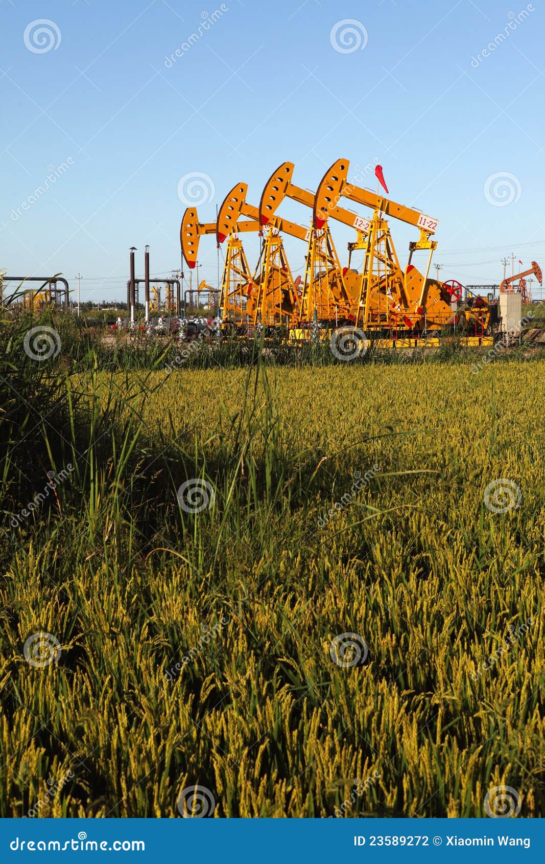 Oil Pumping stock photo. Image of cloud, chemical, geology - 23589272