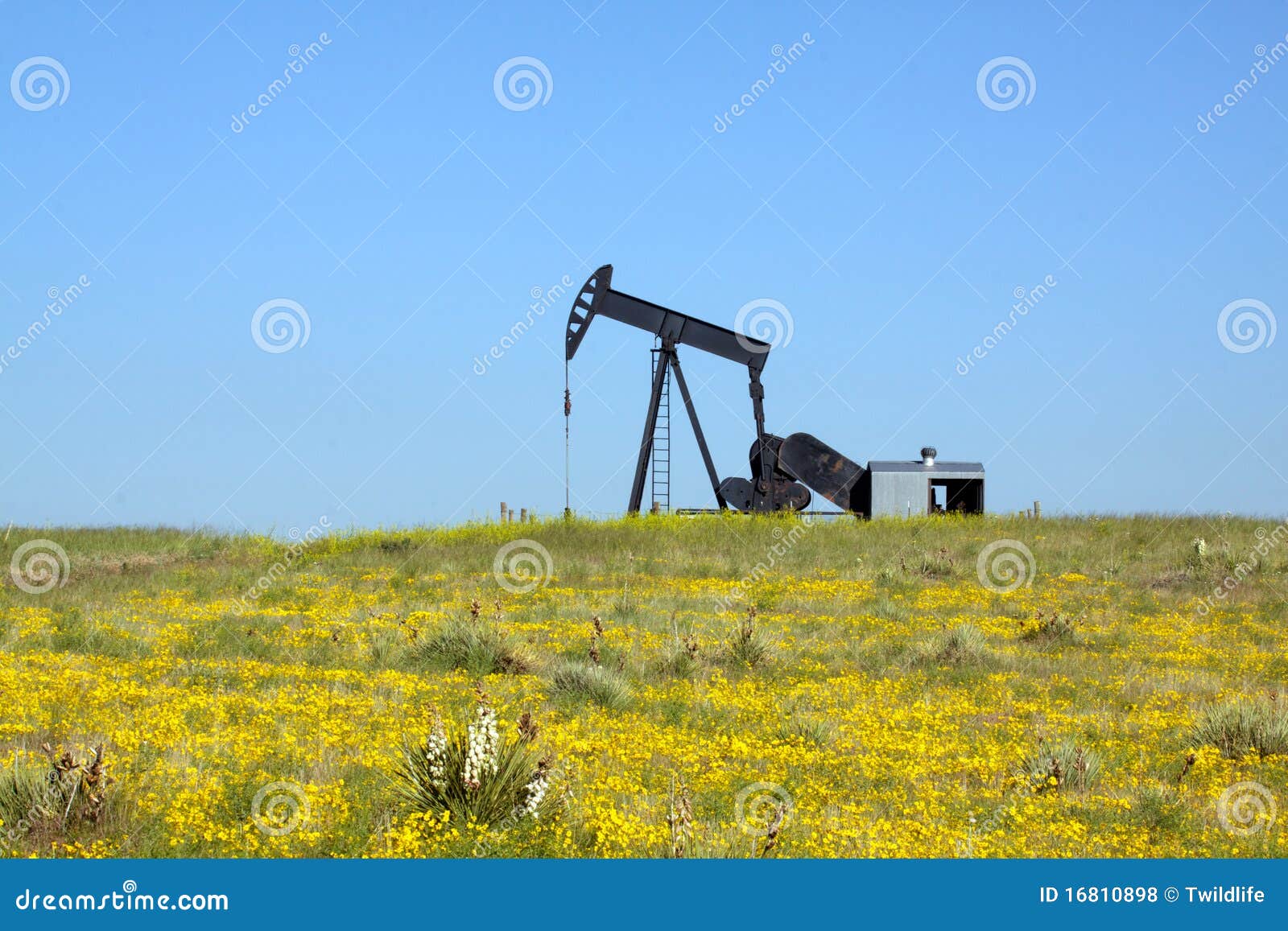 Oil Pumpjack on Prairie stock photo. Image of equipment - 16810898