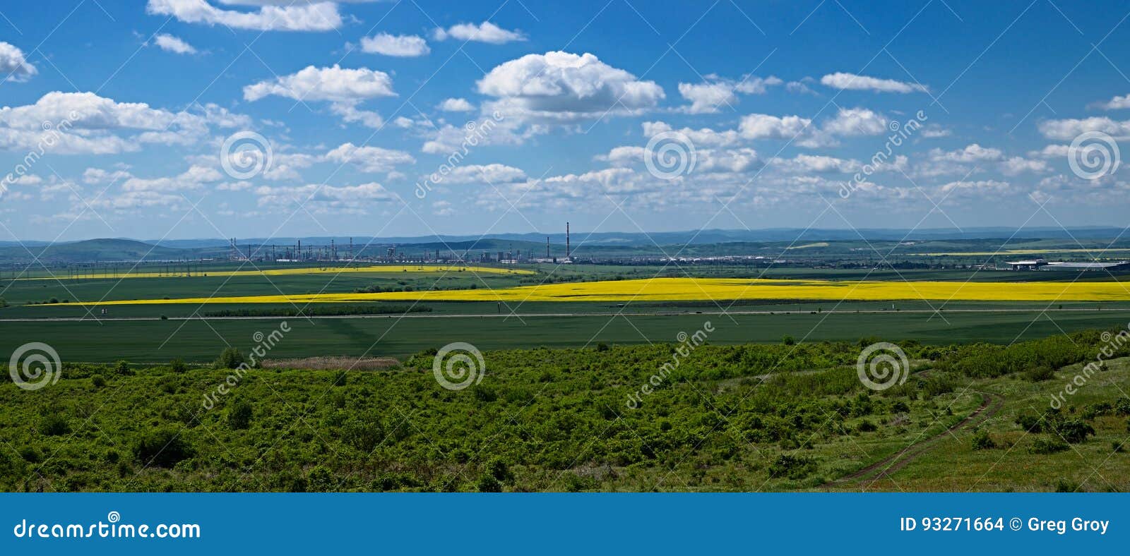 The Oil Refinery among the Yellow Rapeseed Fields on the Background of ...