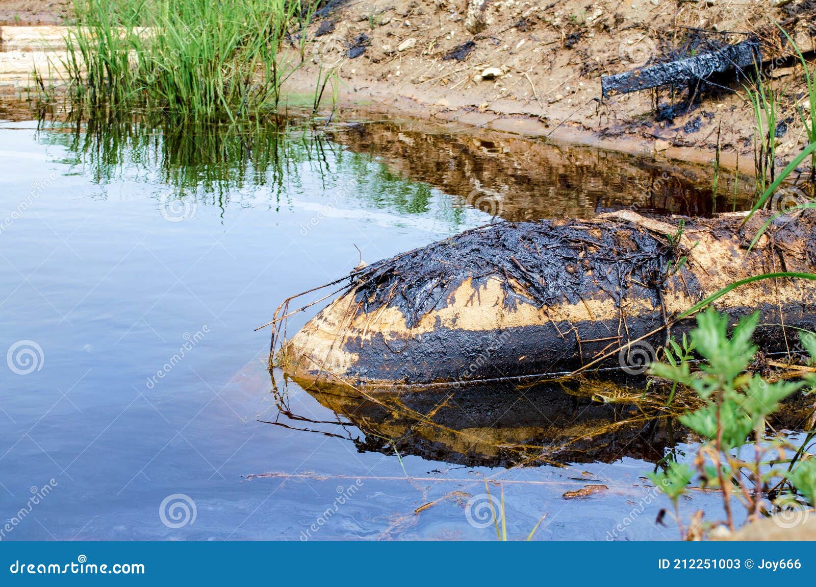 An Environmental Problem. Oil in the Water Reservoir. Protection of ...