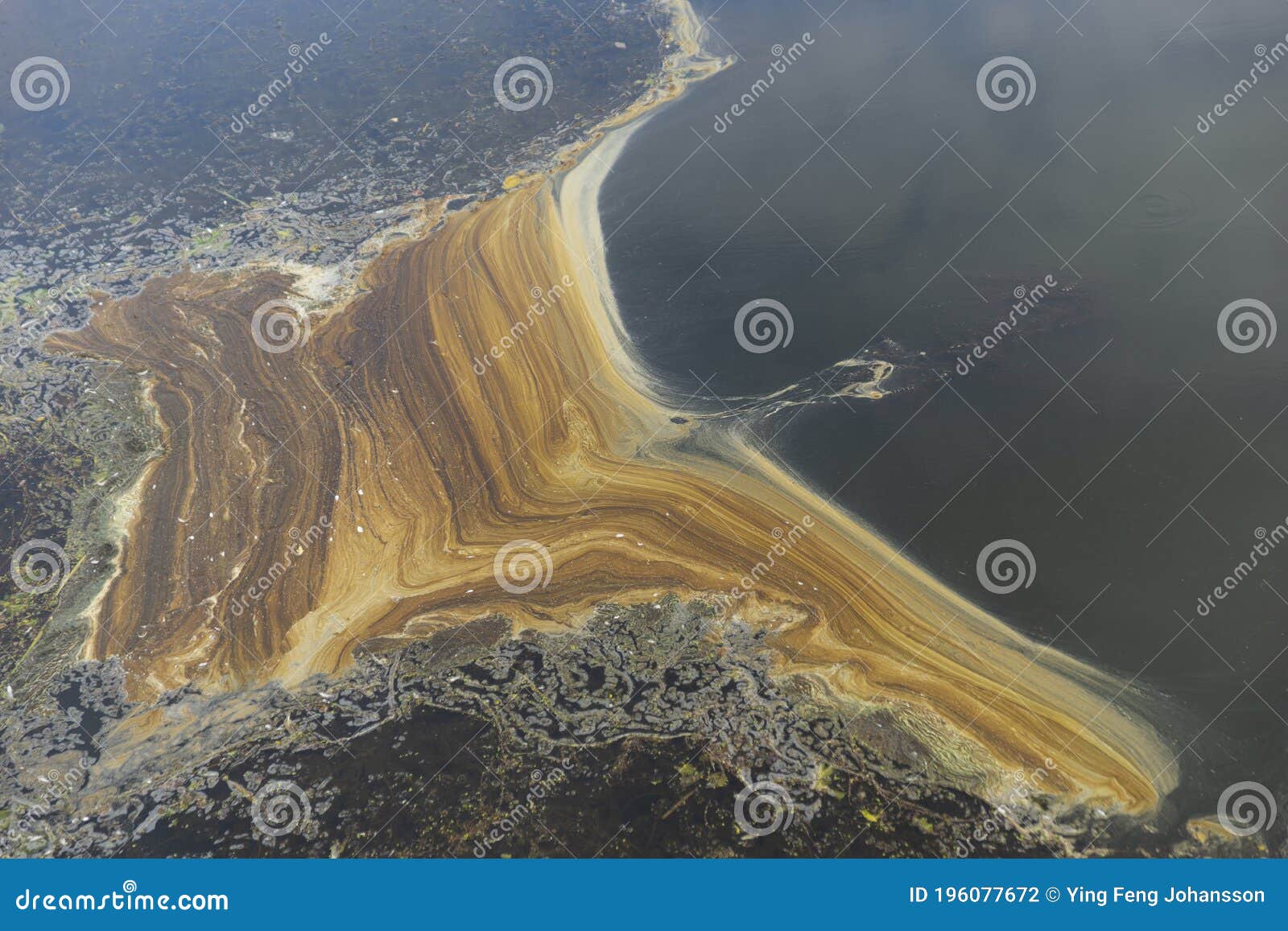 Oil spill on water stock photo. Image of disgusting - 196077672