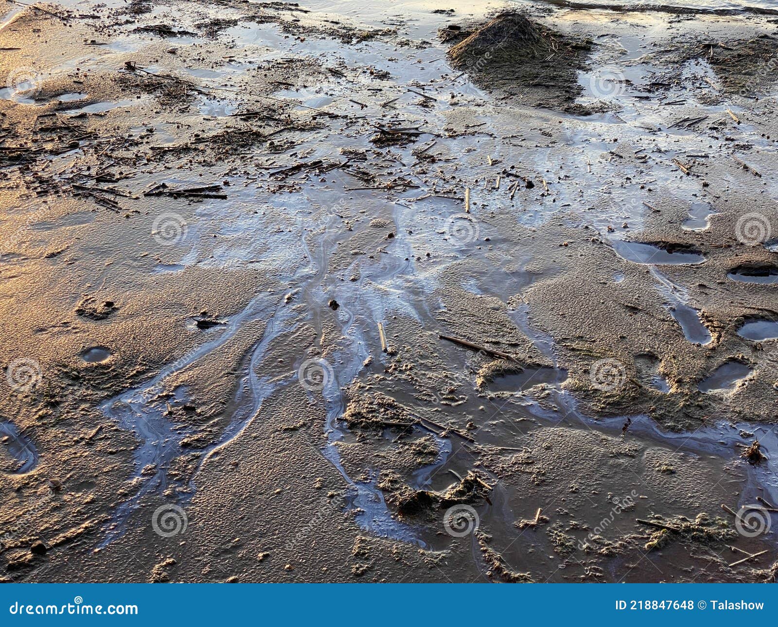 Oil Stains on Beach Sand Environmental Disaster Stock Photo - Image of ...