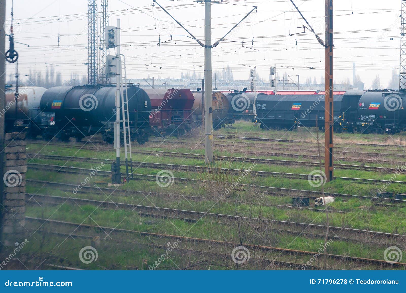Oil trains editorial stock photo. Image of house, transportation - 71796278