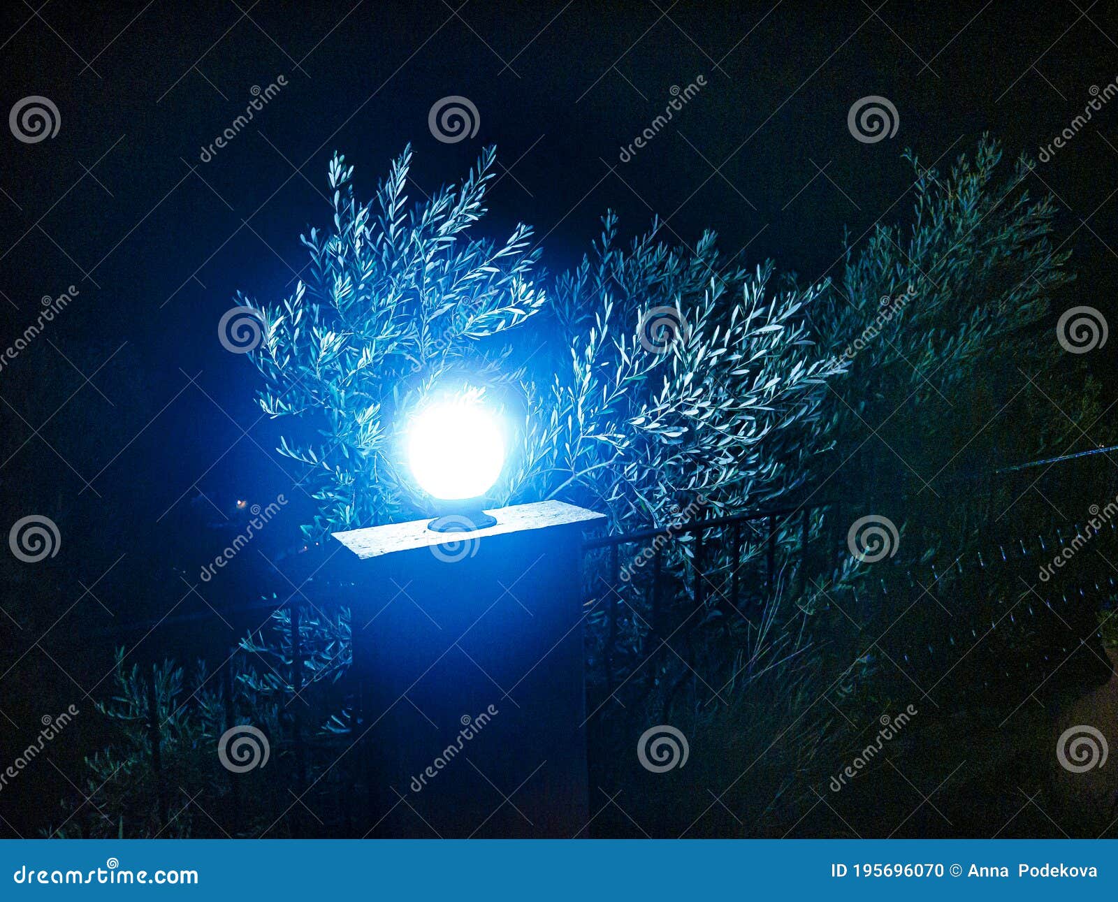 Oil Tree Branches Lit by a Round Ball Lamp by the Sea. Stock Photo ...