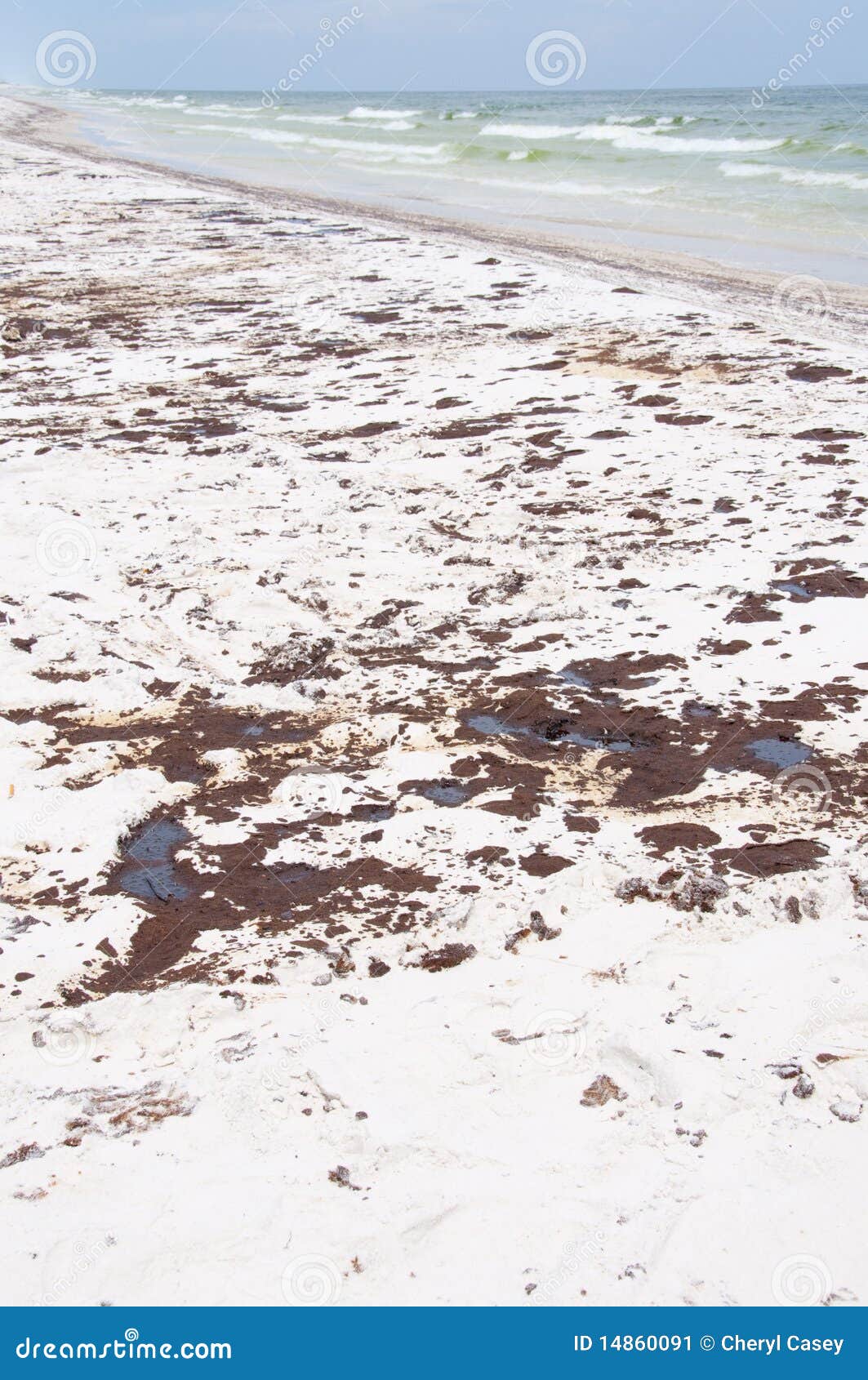 Oil Washes Ashore in Pensacola Beach Editorial Photo - Image of water ...